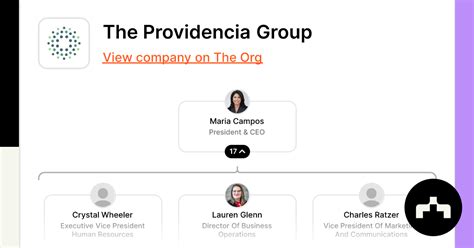 The Providencia Group The Org