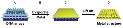 Structure And Operation Of An Autonomous Dna Nanomotor The