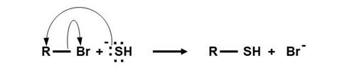 Organic Chemistry 9780073402772 Exercise 19 Quizlet