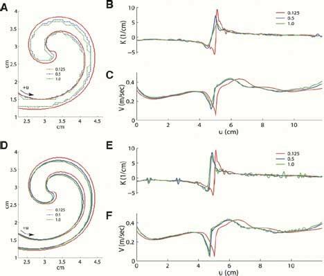 The Effect Of Spatiotemporal Averaging And Subsequent Interpolation On
