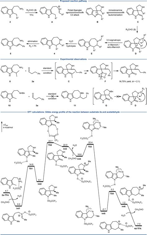 c h functionalization of 2 alkyl tryptamines direct assembly of azepino[4 5 b ]indoles and