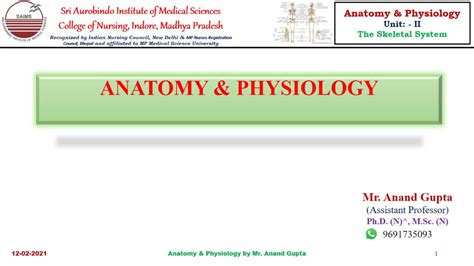 SOLUTION Ppt On Skeletal System Studypool