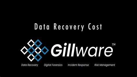 How Much Does Data Recovery Cost Youtube
