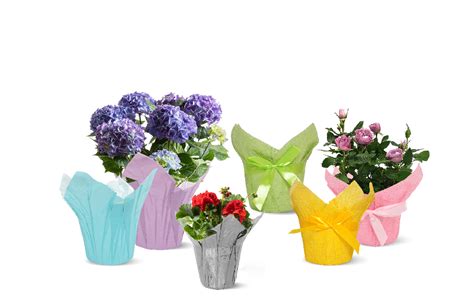 Products Dysun International Development Ltd