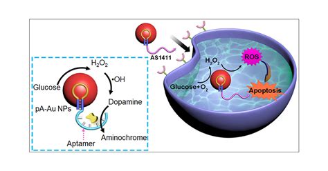 Aptamer Modified Au Nanoparticles Functional Nanozyme Bioreactors For