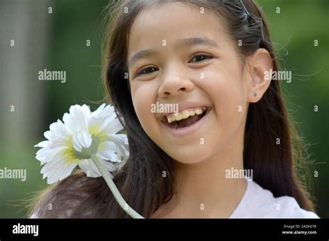 Petite Asian Girl Hi Res Stock Photography And Images Alamy