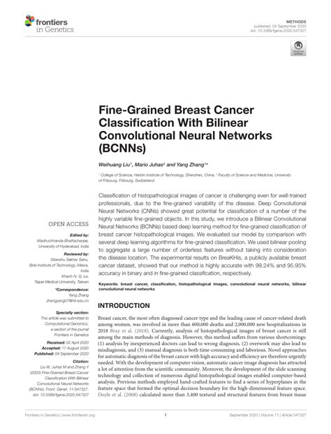 PDF Fine Grained Breast Cancer Classification With Bilinear