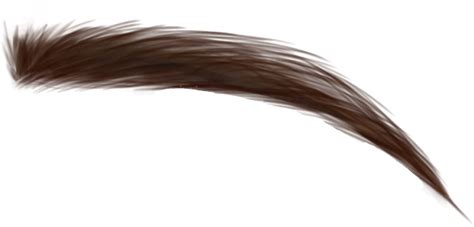 Gacha Eyebrows Transparent Background