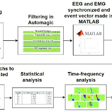 Flowchart Of The Signal Processing Steps Taken Download Scientific Diagram