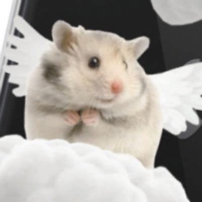 야동이다 Vvf UxFkGup c Twitter