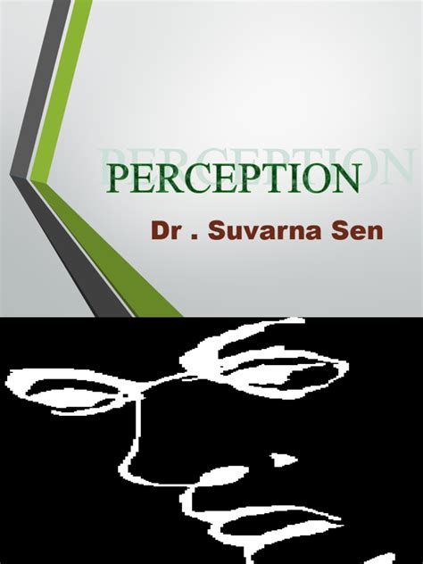 Perception Pdf Perception Bias