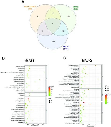 Analysis Of Alternative Splicing Events Predicted To Be Altered By