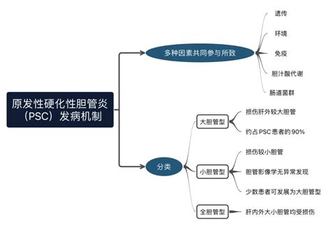 3张图教你搞定原发性硬化性胆管炎 医学界 助力医生临床决策和职业成长