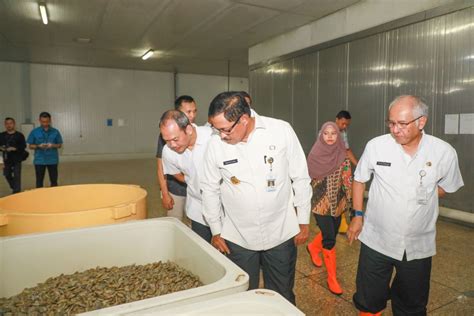 Central Java Ships First Export Of Frozen Shrimp To Australia Antara News