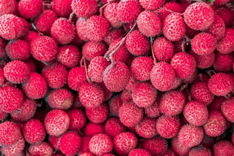 How To Grow And Care For Lychee Trees