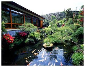 鴻ケ池漁荘 日本庭園