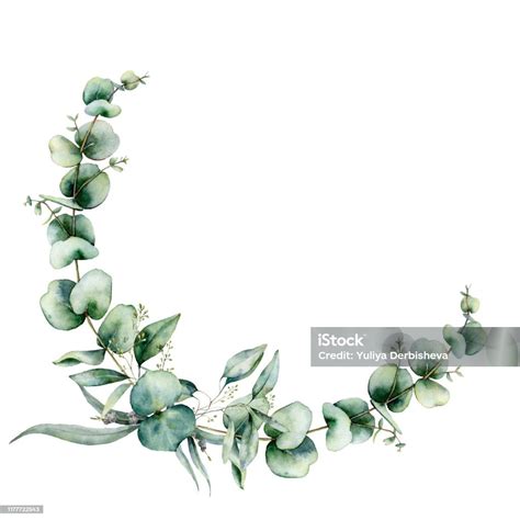 유칼립투스 잎수채채 꽃화환 흰색 배경에 고립 된 나뭇 가지와 잎손으로 그림을 그린 디자인 인쇄 직물 또는 배경을위한 꽃 그림