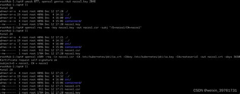K8s 1282权限管理（系统普通用户查看对应namespace）k128oc Csdn博客