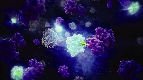 Molecular Products Co On Linkedin How To Diy Hibit Crispr Part 2