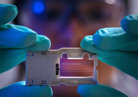 IVDR Regulation Quick Guide Medical Device Regulatory Guide