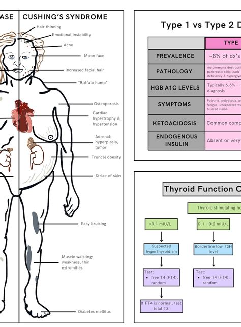 Hormone Cheat Sheet Endocrine Mlt Mls Rn Med Tech Chemistry Medical Laboratory Scientist And