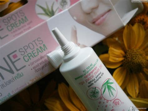 Крем от прыщей Isme Acne Spots Cream с маслом чайного дерева и алоэ ...