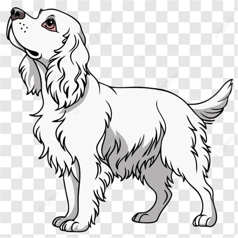 Perfil De Raza De Perro Cocker Spaniel Png Dibujos Cocker Perro