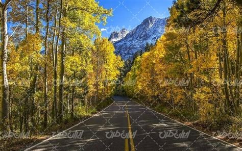 تصویر با کیفیت چشم انداز همراه با منظره و چشم انداز زیبای جاده پاییزی ایران طرح