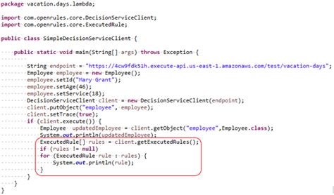 Java Api For Decision Service Invocation Openrules Decision Intelligence Software
