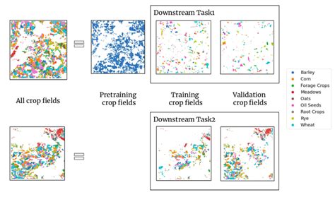 dataset for the multi modal self supervised learning experiment the