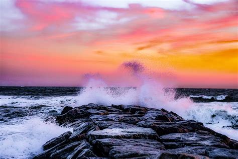 World Oceans Day 2024 — Long Beach Arts Council