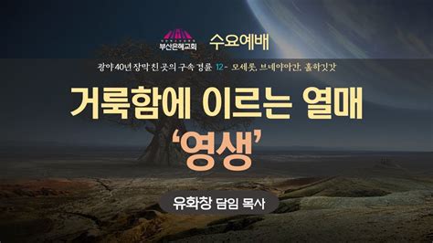 거룩함에 이르는 열매 영생 광야 40년 장막 친 곳의 구속경륜12 모세롯 브네야아간 홀하깃갓 2022년 10월