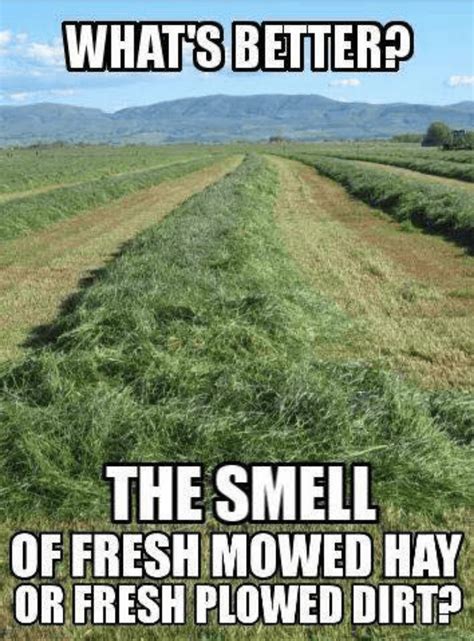 Country Jokes Country Girl Quotes Country Farm Country Life Western