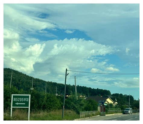 고래 같은 구름 유머 움짤 이슈 에펨코리아
