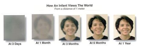 The Remarkable Journey Of Vision Development In Babies From Birth To