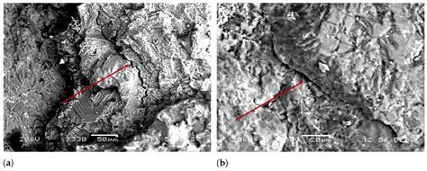 Design Of An Aluminum Alloy Using A Neural Network Based Model