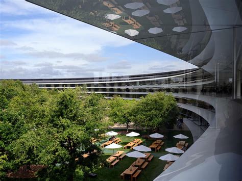 Perché Apple Park è Il Vero Capolavoro Di Cupertino