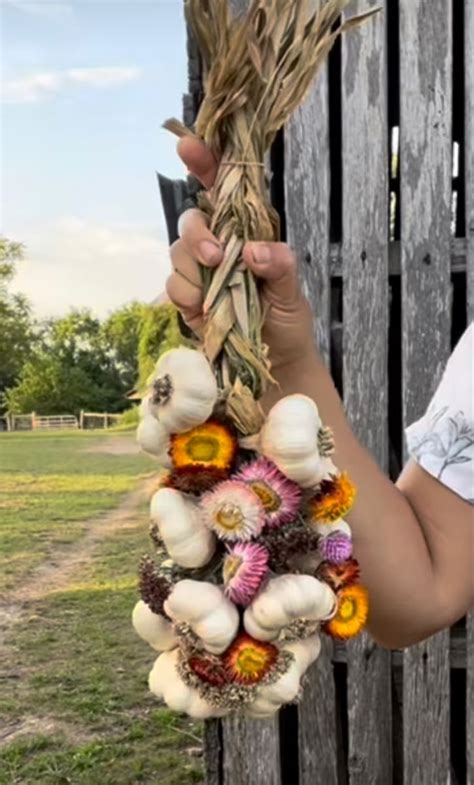 Garlic Braid Braids Garlic Beautiful
