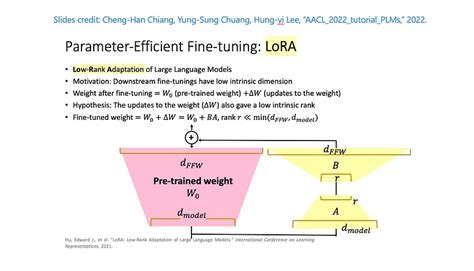 用lora进行高效微调 Bimant