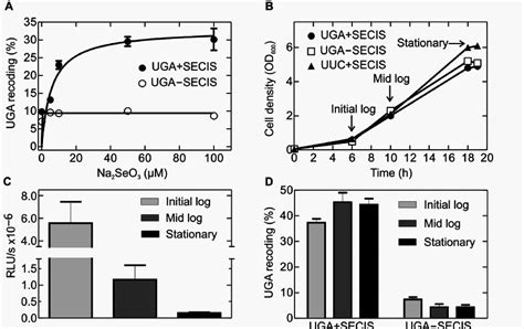 Dependence Of Uga Read Through On Selenium Source Concentration And Download Scientific Diagram