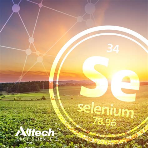 Alltech Crop Science On Linkedin Agscience Selenium Agriculture
