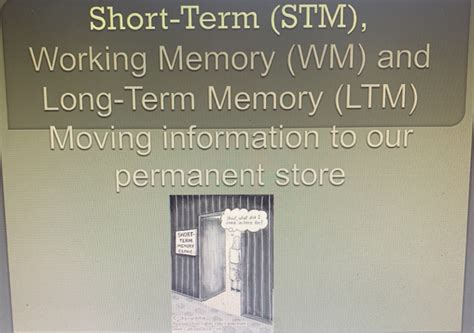Solved Psychology Of Memory Chapter 7