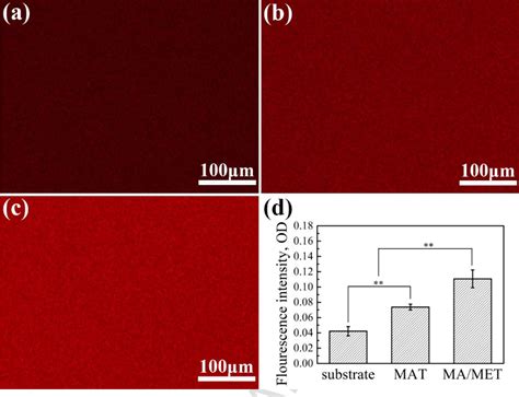 Figure 5 From A Dual Layer Macromesoporous Structured Tio2 Surface