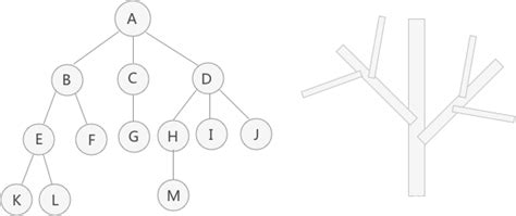 数据结构树tree详解 Csdn博客