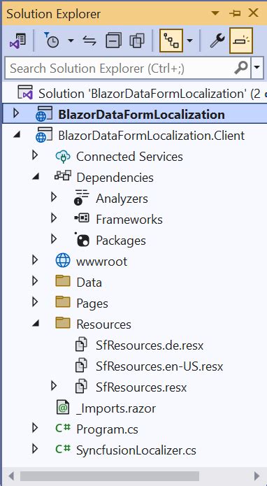 Mastering Localized Data Annotation Validation With Blazor Data Form