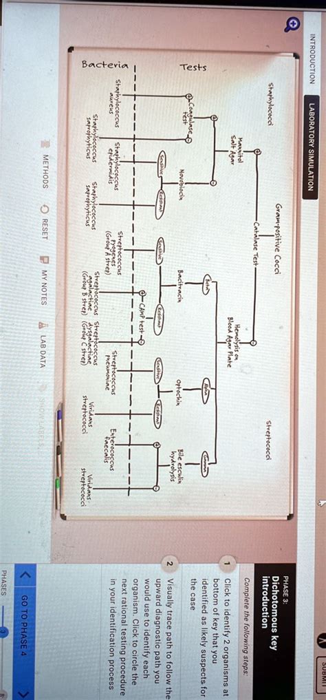 Introduction Laboratory Simulation Bacteria Tests Submit Staphylococci Mannitol Salt Agar Gram