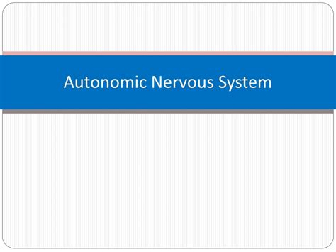 PPT Autonomic Nervous System Signaling And Receptors PowerPoint Presentation ID 9217121
