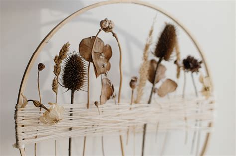 마른 꽃과 세련된 보헤가을 화환 흰색 벽 배경에 나무 후프 스레드 와 건조 허브 모던한 플로럴 어레인지와 창의적인 수제 장식 0명에 대한 스톡 사진 및 기타 이미지 Istock