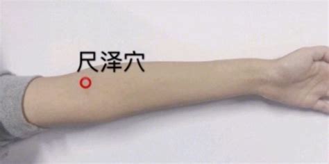 尺泽穴穴位位置图及作用 360新知