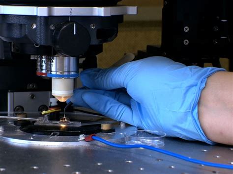 Video Whole Cell Patch Clamp For Investigating The Mechanisms Of Infrared Neural Stimulation